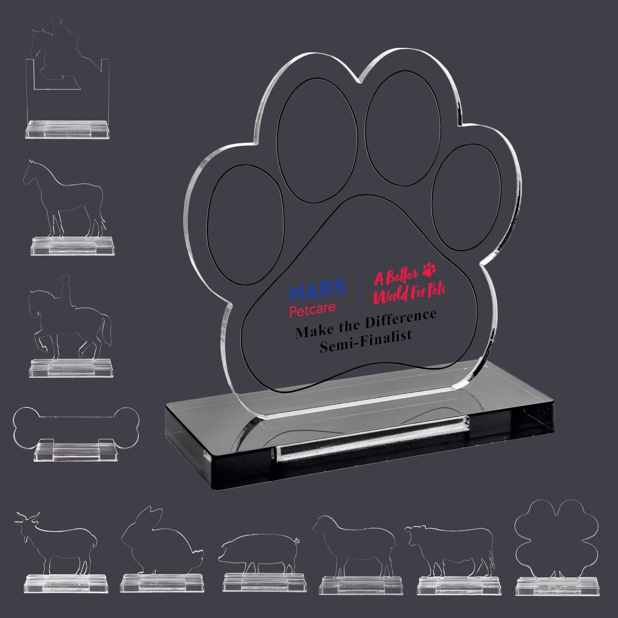 Custom Acrylic Awards | Image Award Ribbons
